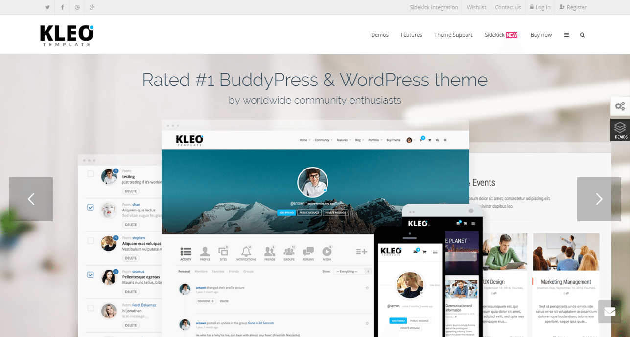 Top 5 WordPress Social Network Themes - WP Multiverse